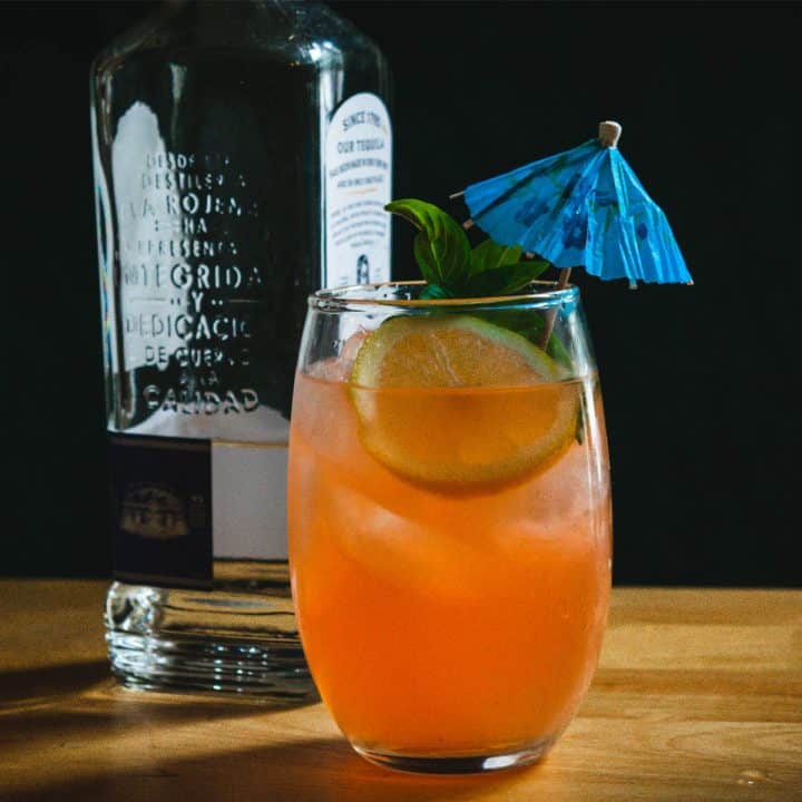 Guava, Nectarine & Basil Tequila Refresher : Jawns I Cooked