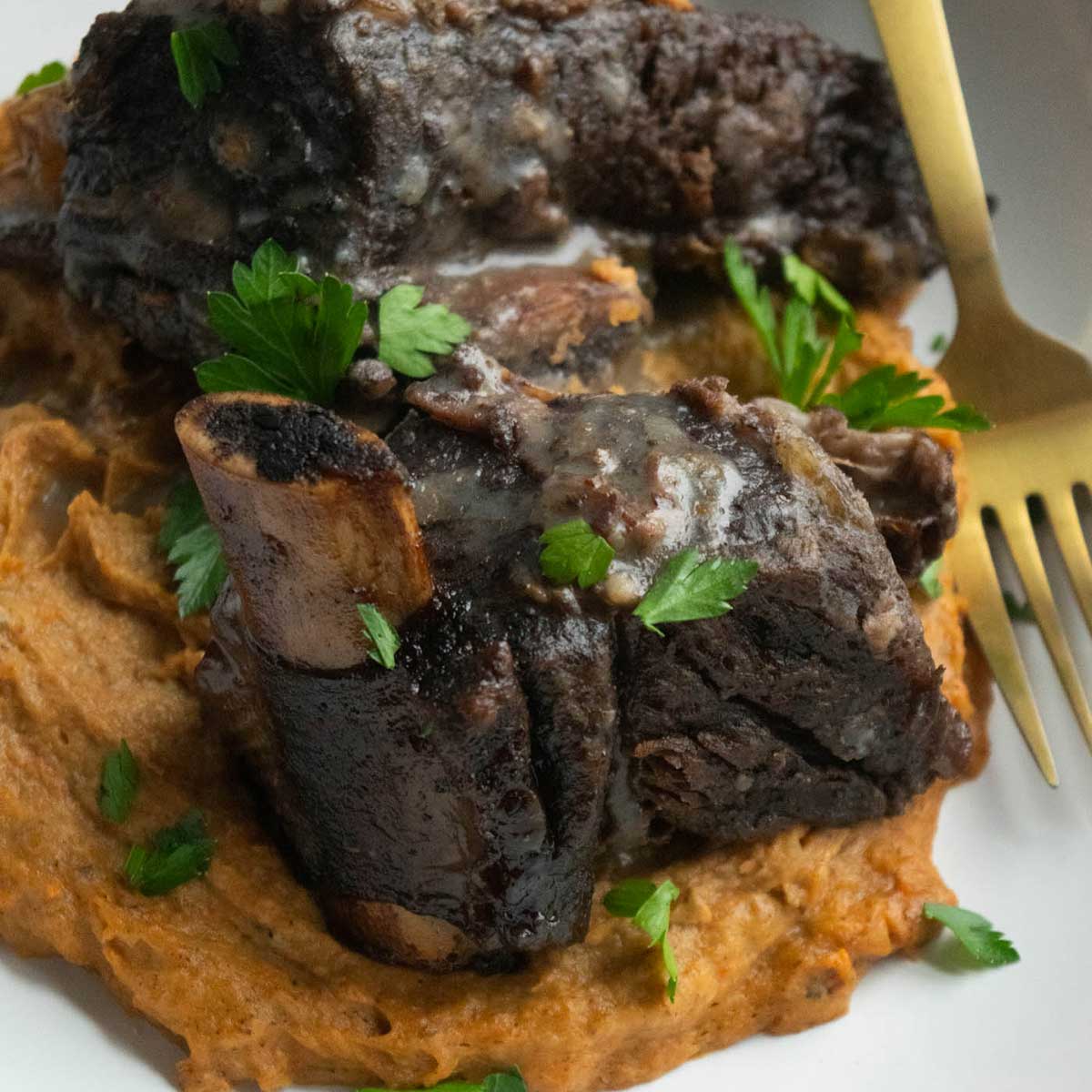 Short Ribs with Root Vegetable Purée : Jawns I Cooked