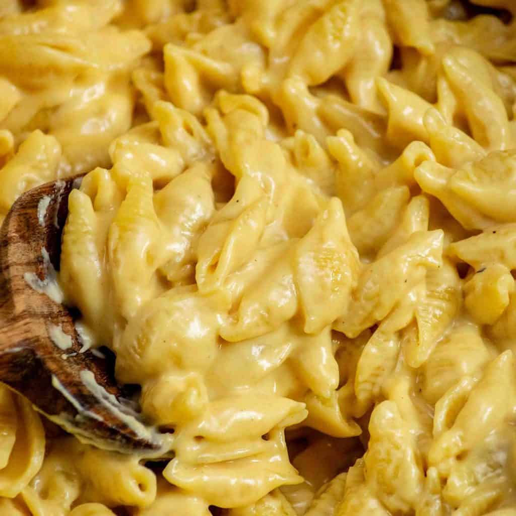 Creamy Stovetop Shells Macaroni and Cheese Recipe : Jawns I Cooked