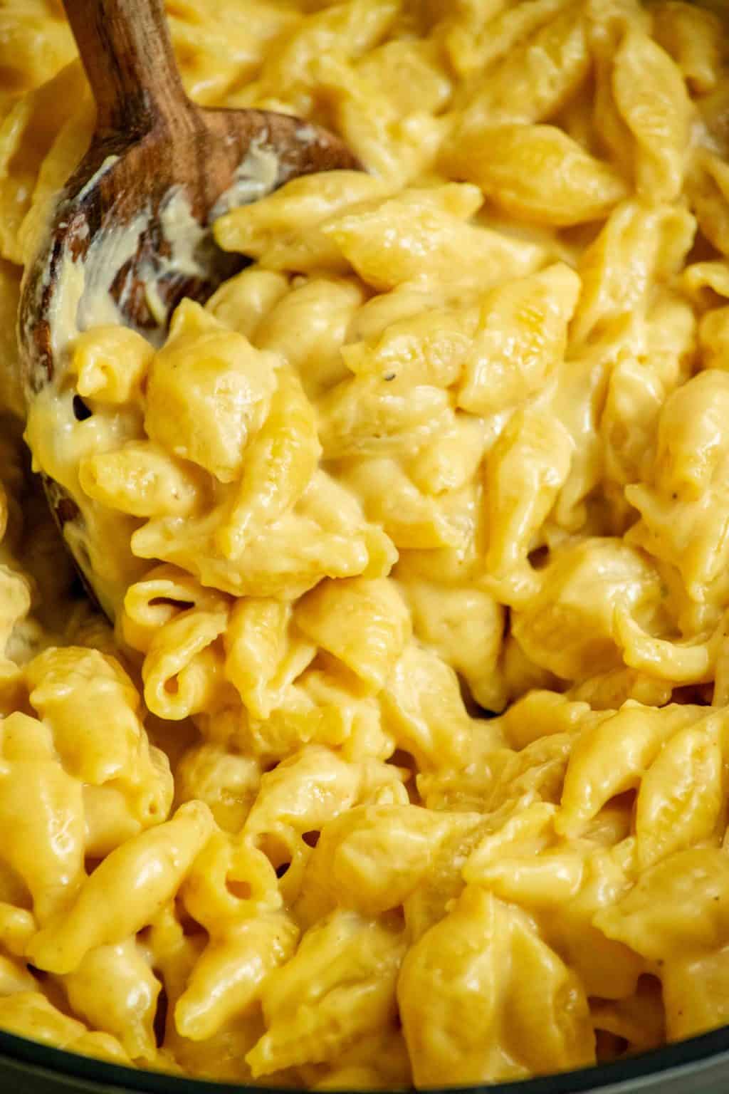 Creamy Stovetop Shells Macaroni and Cheese Recipe : Jawns I Cooked