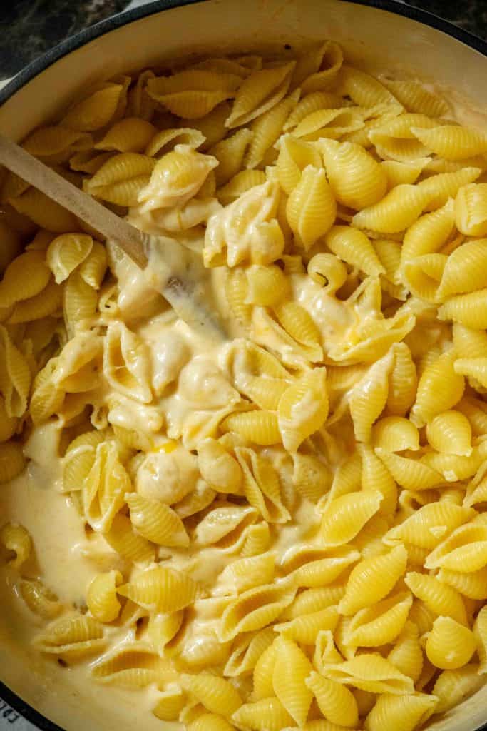 Creamy Stovetop Shells Macaroni and Cheese Recipe : Jawns I Cooked