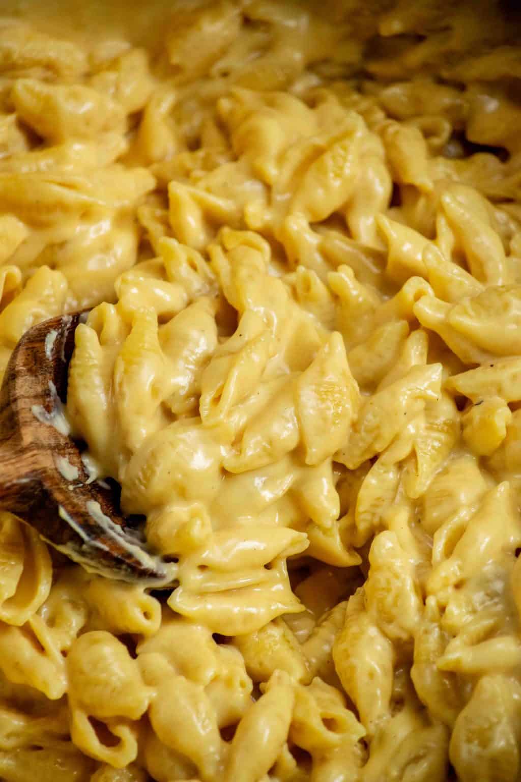 Creamy Stovetop Shells Macaroni and Cheese Recipe : Jawns I Cooked