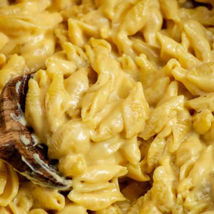 Creamy Stovetop Shells Macaroni and Cheese Recipe : Jawns I Cooked