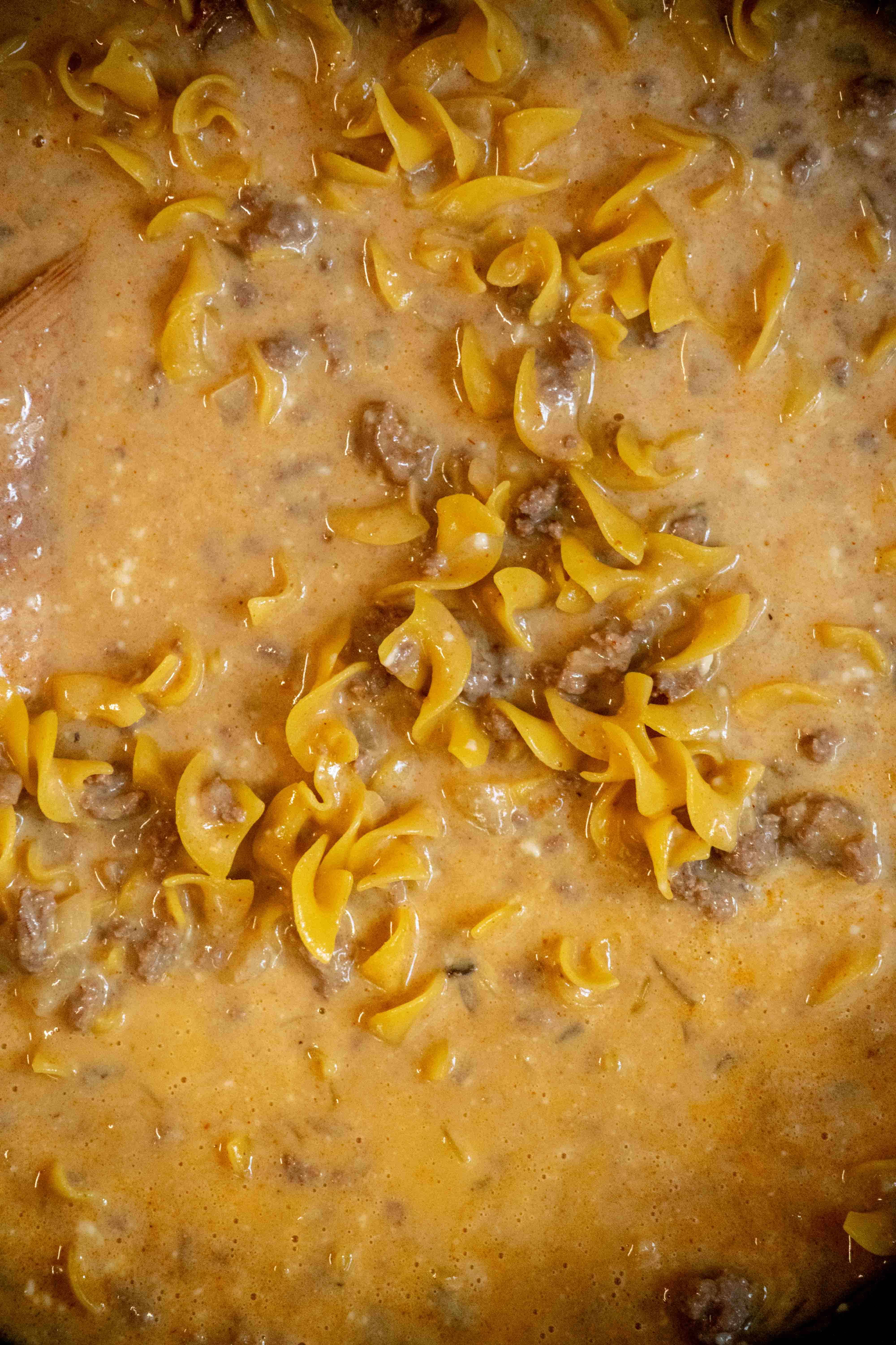 Best Homemade Creamy Beef Stroganoff Hamburger Helper Recipe : Jawns I ...