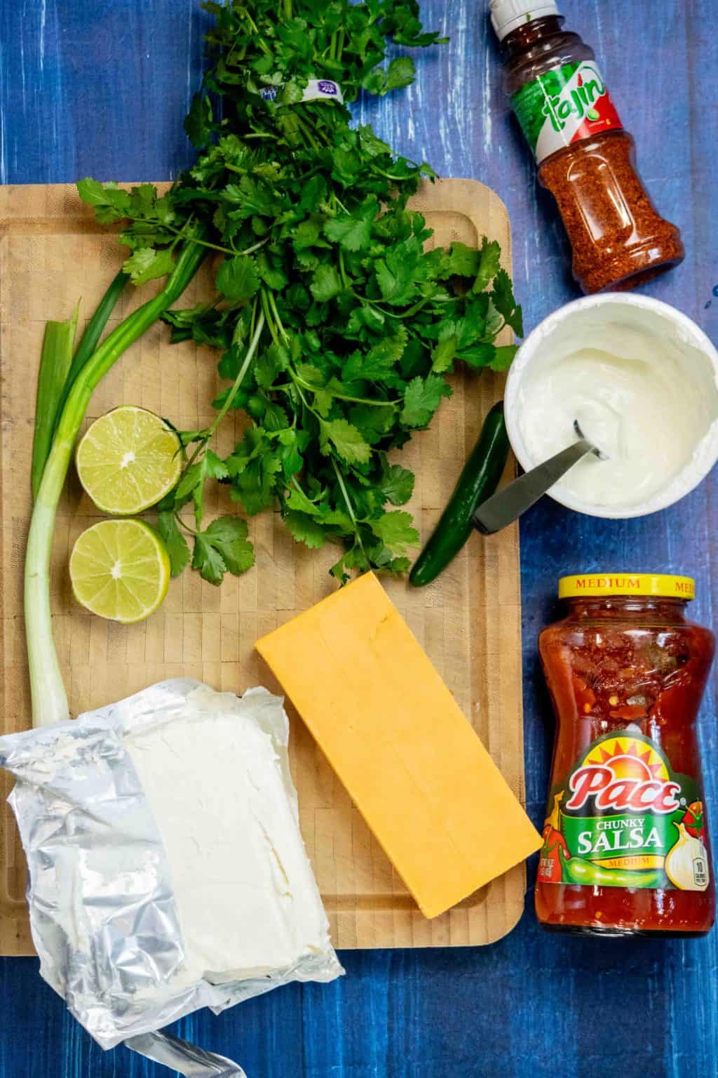 Layered Creamy Salsa and Cream Cheese Dip Recipe : Jawns I Cooked
