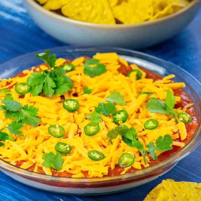 Layered Creamy Salsa and Cream Cheese Dip Recipe : Jawns I Cooked