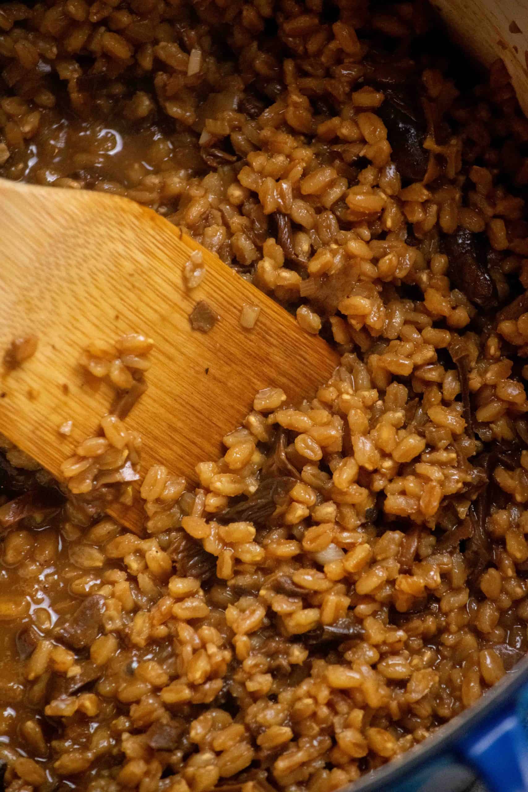 Creamy Mushroom Parmesan Farrotto (Farro Risotto) : Jawns I Cooked
