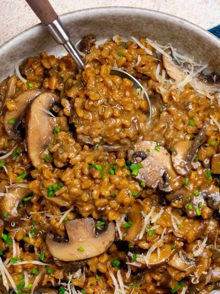 Easy Baked Shrimp Parmesan (Parmigiana) : Jawns I Cooked