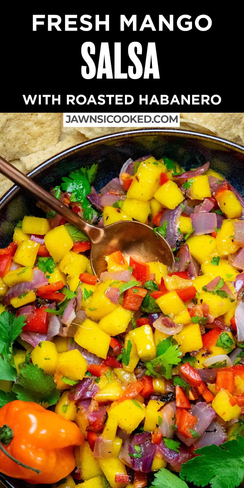 Easy Homemade Fresh and Spicy Mango Habanero Salsa : Jawns I Cooked