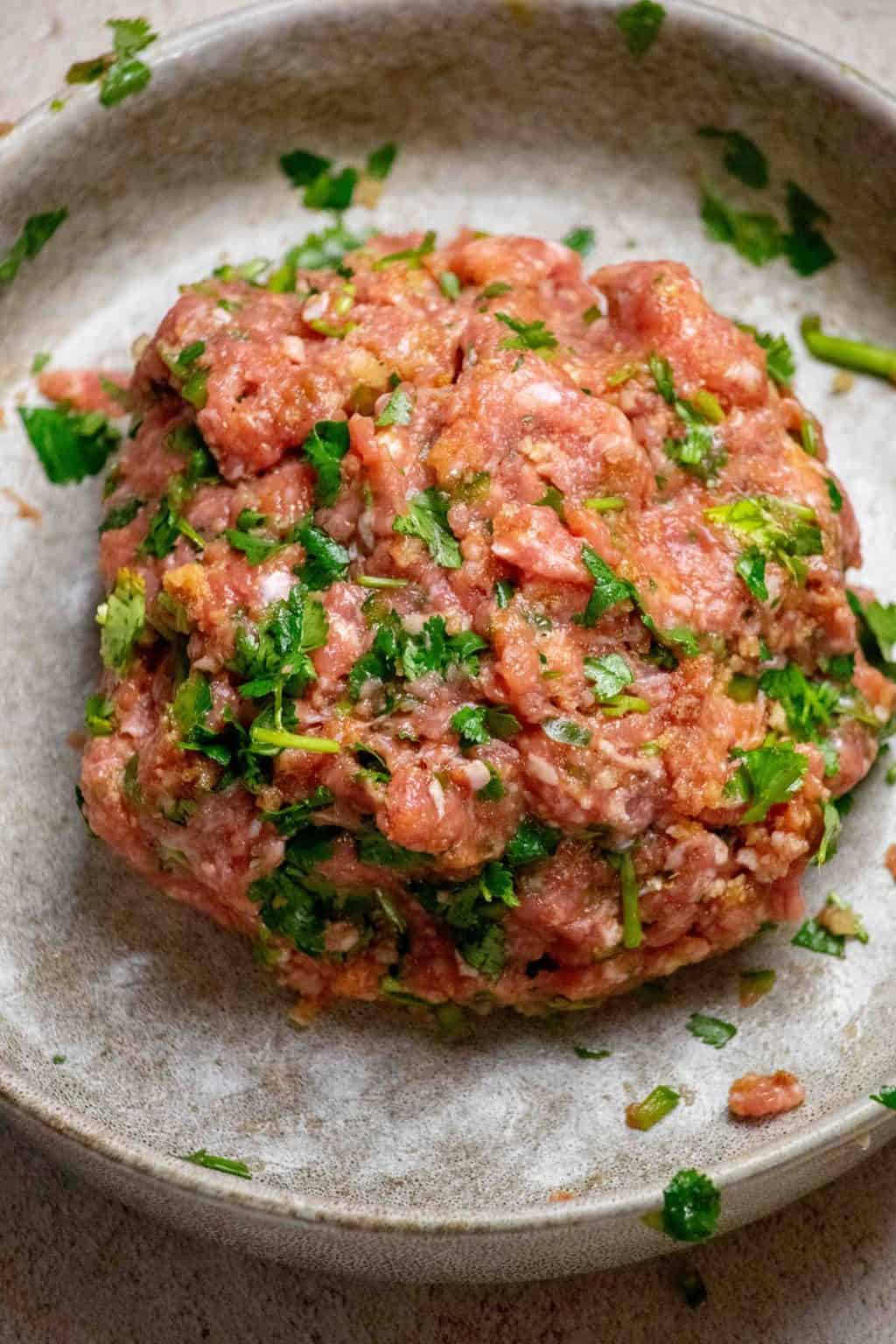Cuban Pork Mojo Meatballs with Citrus Mojo Sauce : Jawns I Cooked